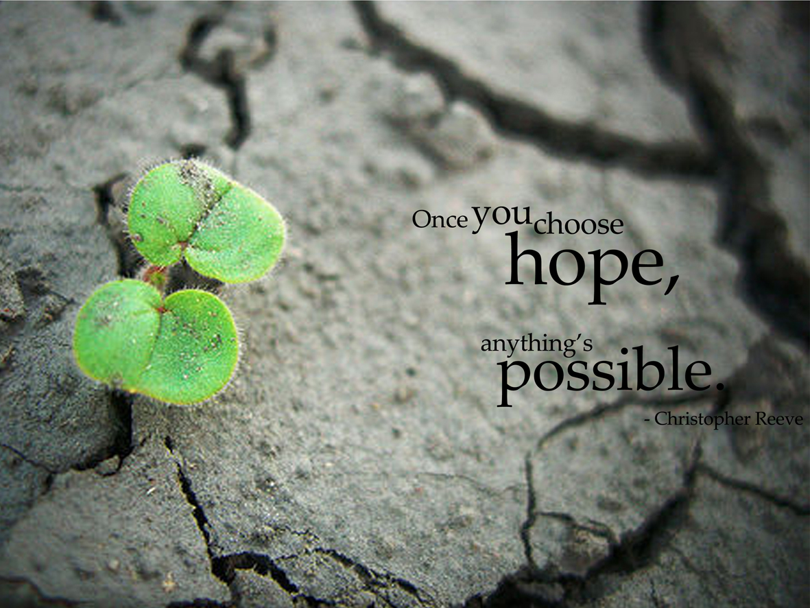 Once you choose hope, anything is possible – Waiting for Baby Bird ...