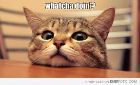 whatcha doin – Waiting for Baby Bird Ministries